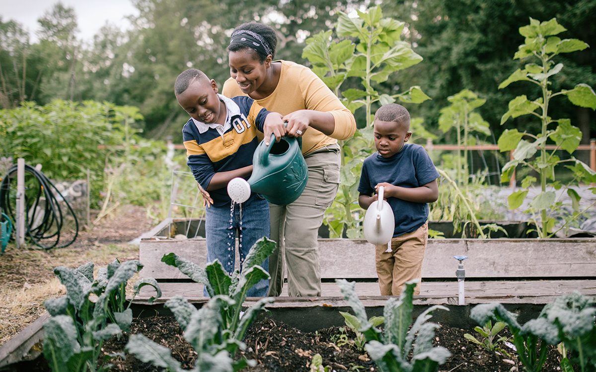 How the WordPress community can help your small business grow - xneelo ...