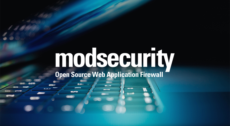 ModSecurity: Helping to keep your site safe, behind the scenes - xneelo Insights