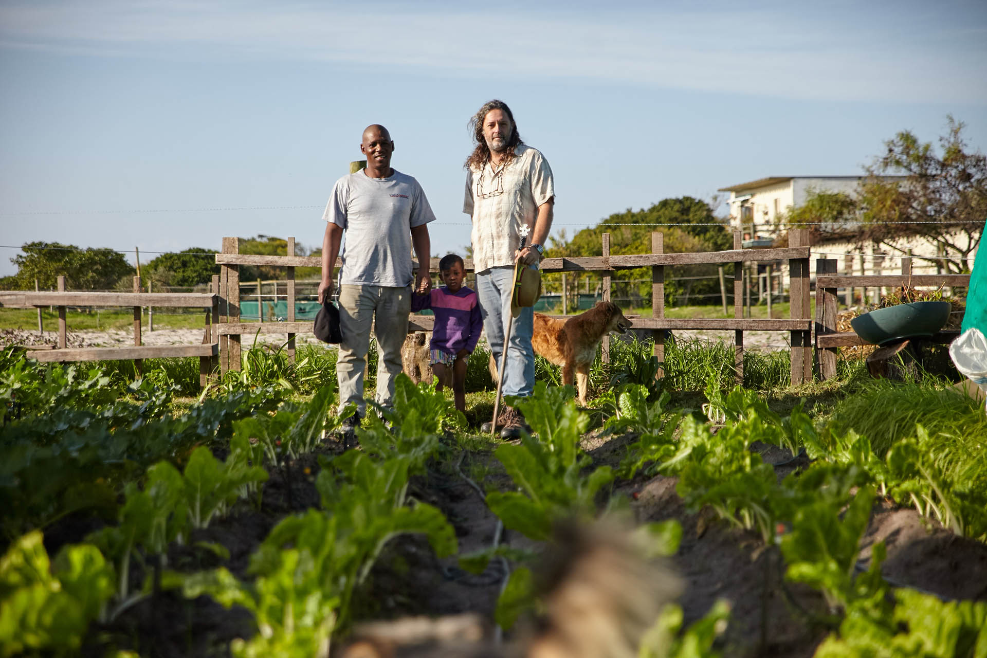 How an experimental farm has grown into a thriving veg box delivery ...