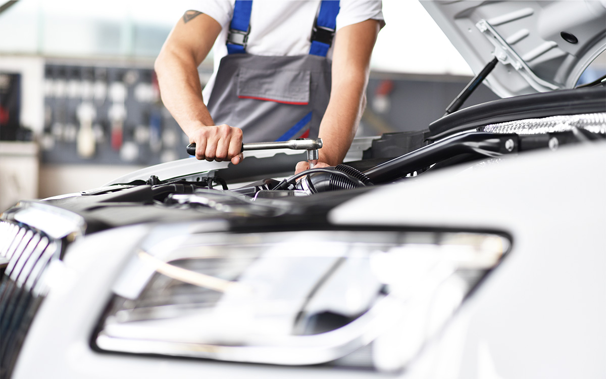 A look under the hood of the new xneelo Control Panel - xneelo Insights