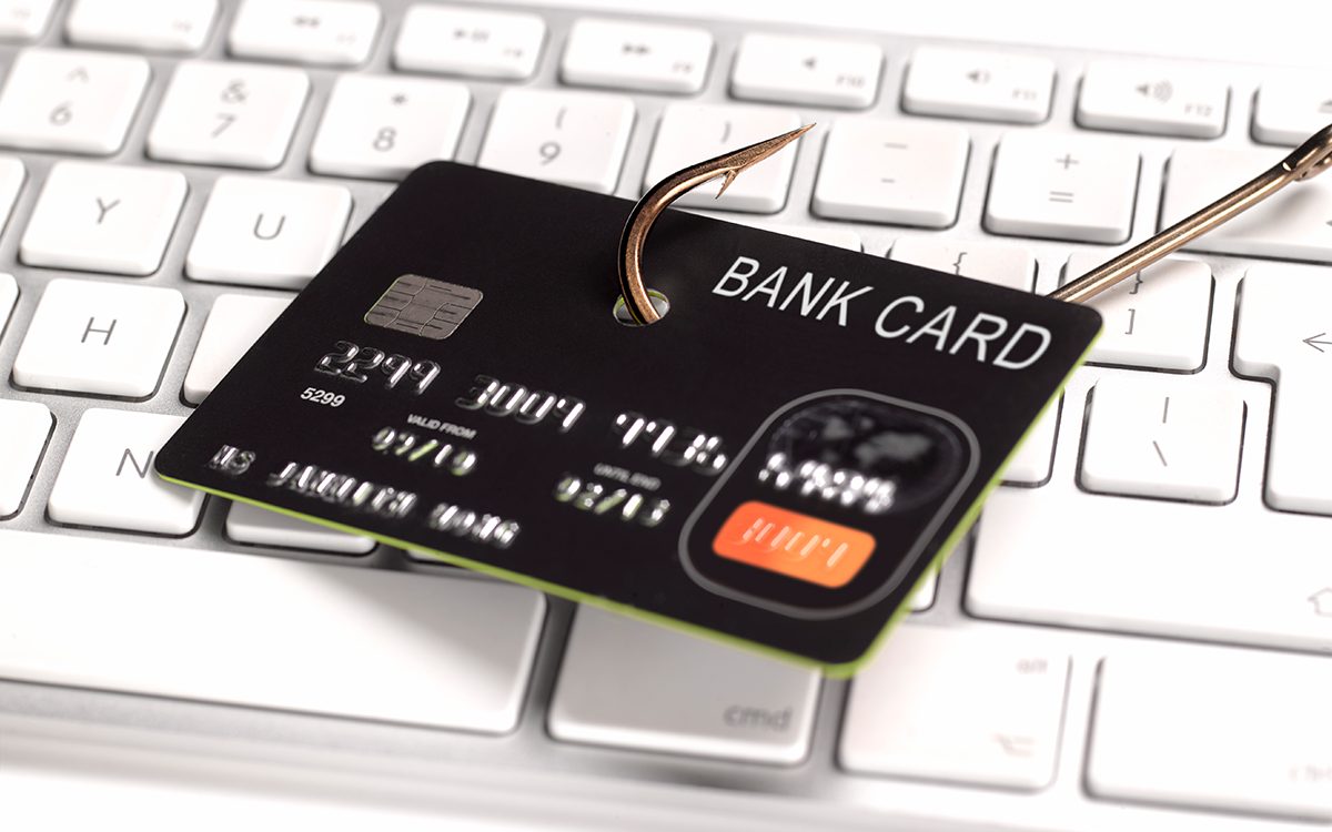 Everything you need to know about phishing - xneelo Insights